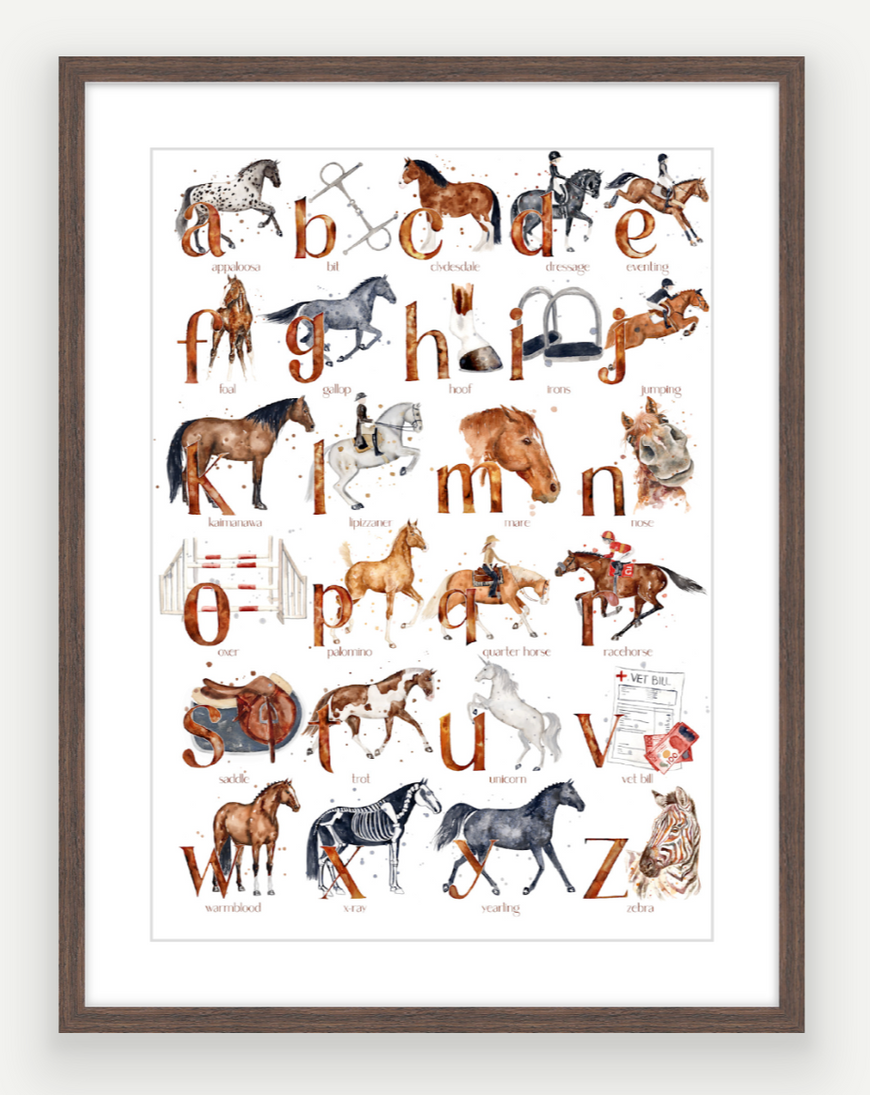 Michelle Clarke - New Zealand Artist, Watercolour Artist